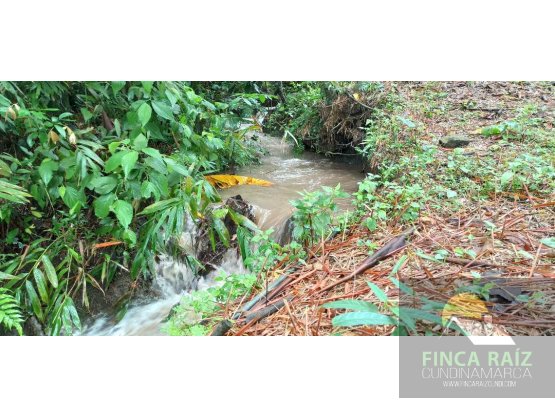 Finca De 2 Fanegadas En La Mesa Con Agua Propia - $420.000.000 COP
