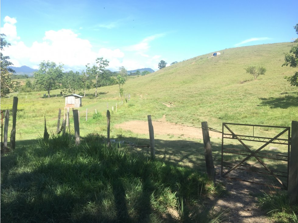 VENTA FINCA GANADERA EN P. BOYACÁ 350H